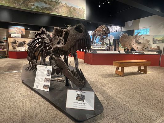 Exhibits | Carter County Museum | Ekalaka, Montana