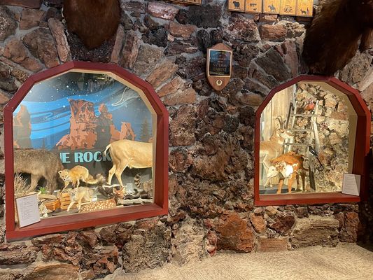 Exhibits | Carter County Museum | Ekalaka, Montana