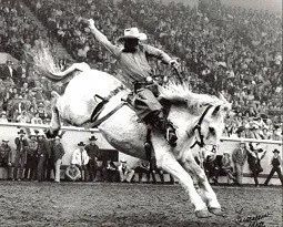 Tooke Bucking Horses