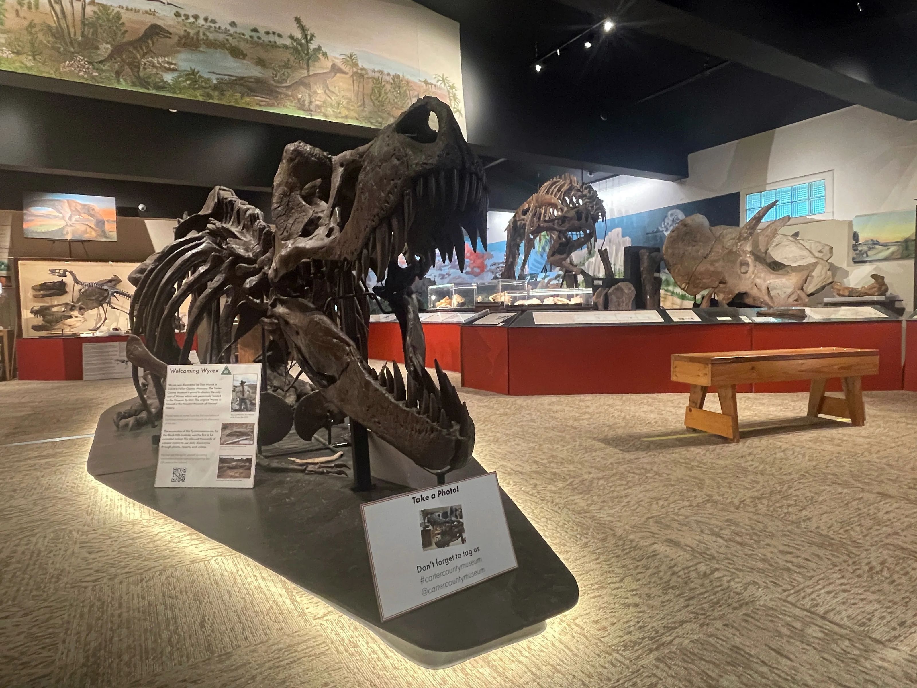 Carter County Museum | Ekalaka, Montana